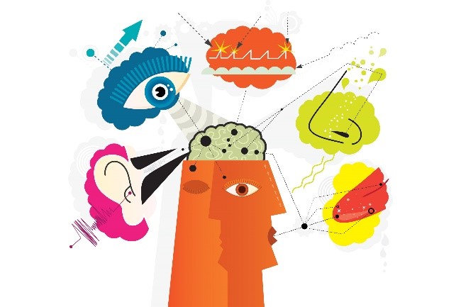 Vestibular / Propiocepción - Mundo Amable